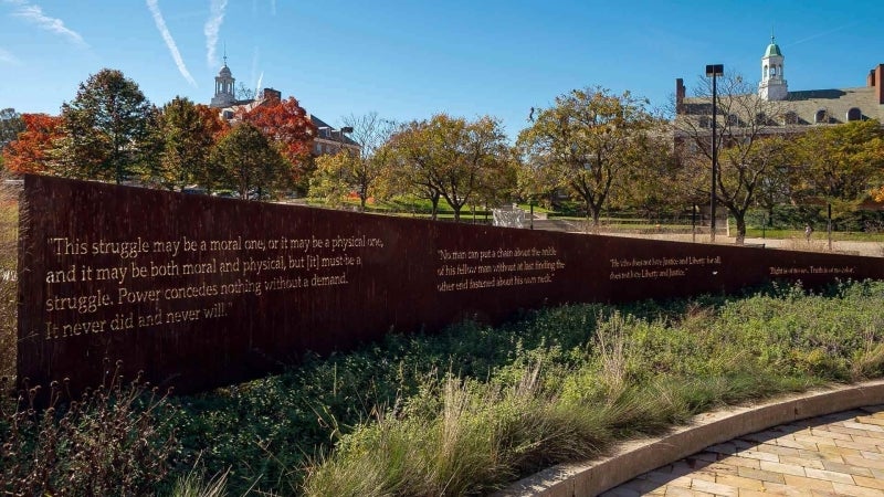 UMD to Debut Minor in Anti-Black Racism | UMD School of Public Policy